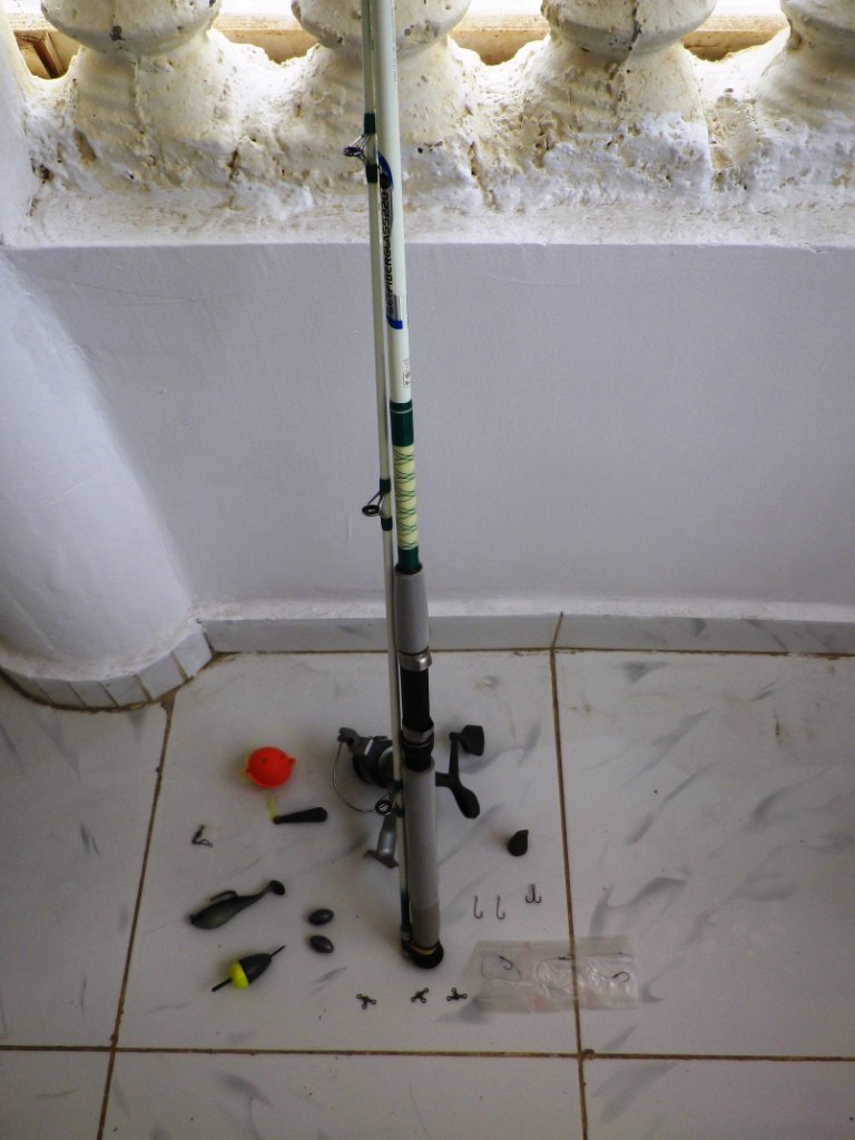 Canne à pêche verte foncée + accessoires neuve à Djibouti