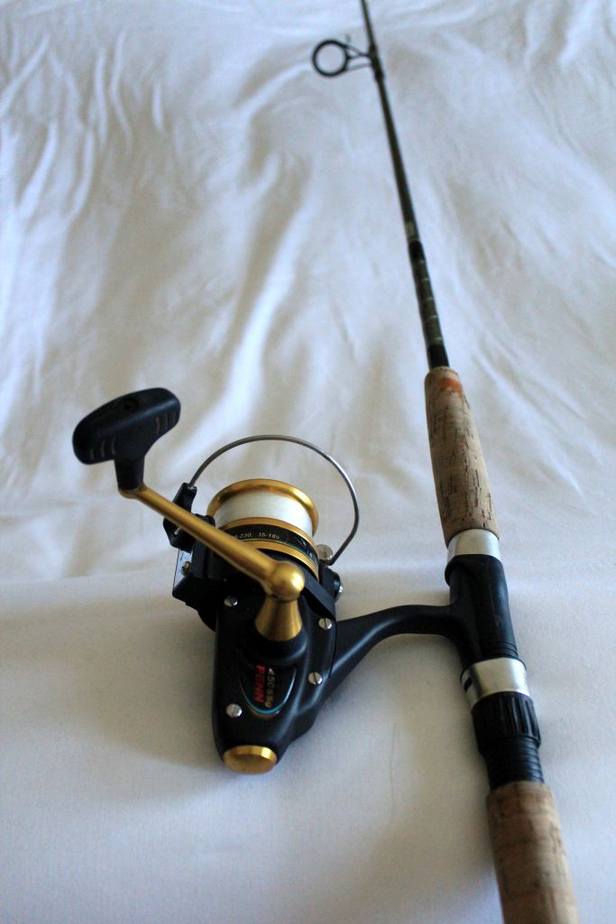 Penn 4500ss with Tica striper series casting rod à Djibouti