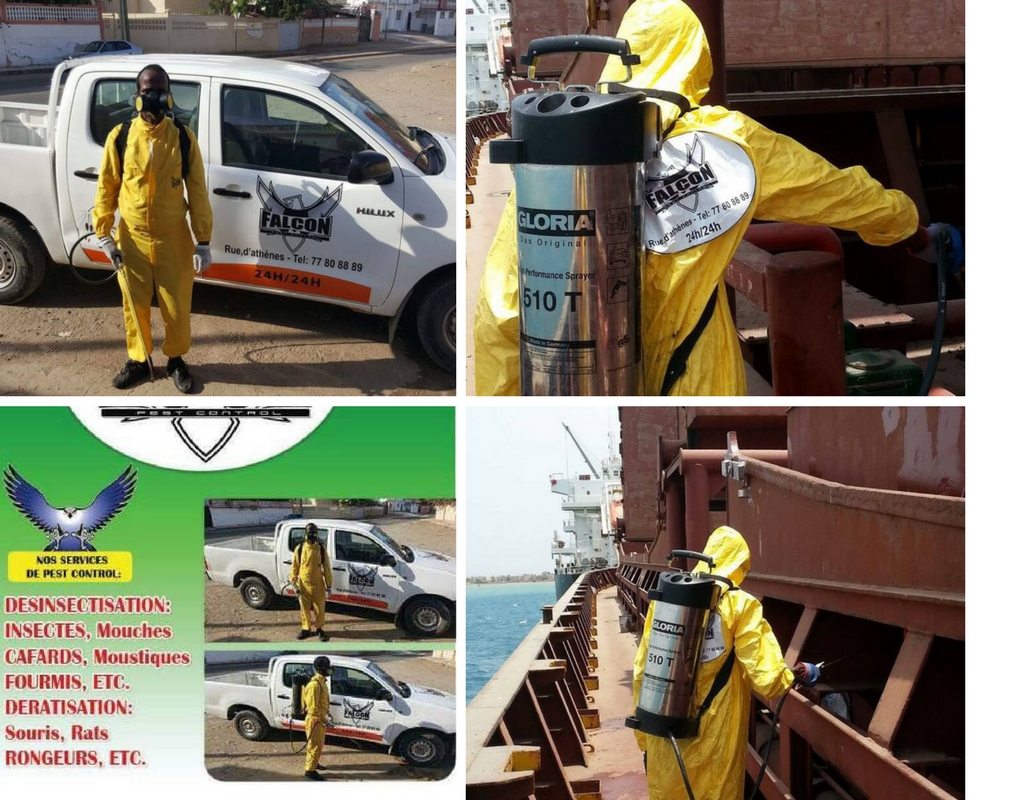 Falcon Pest Control est spécialisée dans la désinfection à Djibouti