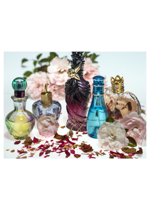 Nouvelle collection de parfums à Djibouti