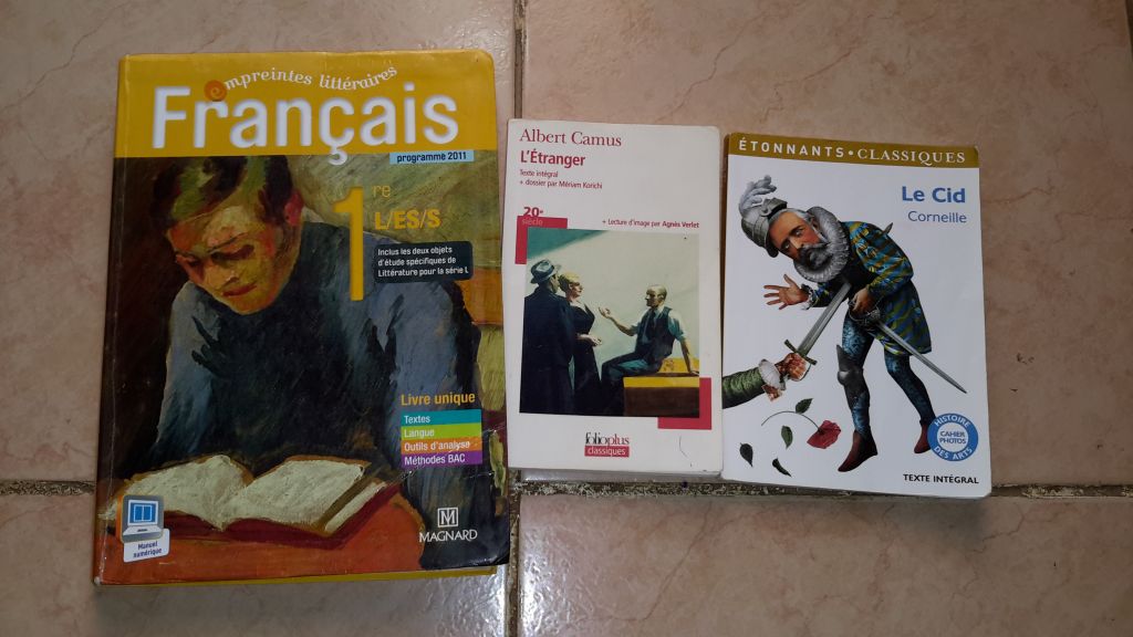 Livres de français 1ere école ileys à Djibouti