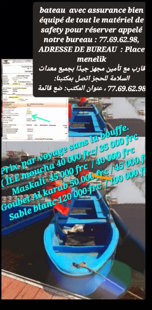 Visite île moucha à Djibouti