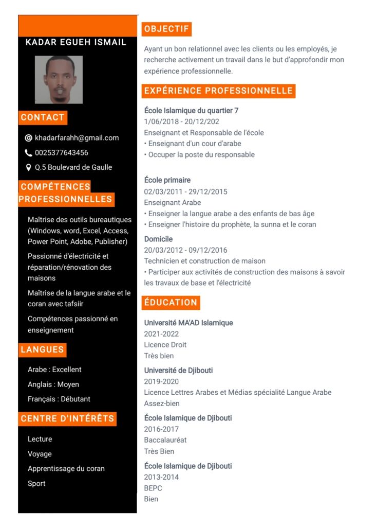 Job application in various sectors - Demande d'Emploi à Djibouti