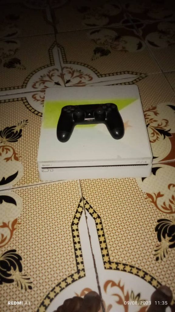 Playstation 4 à Djibouti