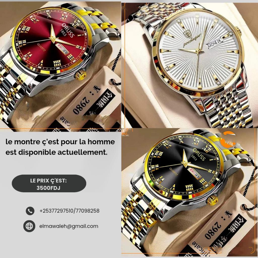 Montre pour Homme Quartz à Djibouti