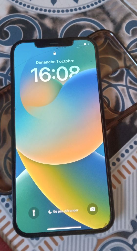 Téléphone IPhone 12 Brown Max à Djibouti
