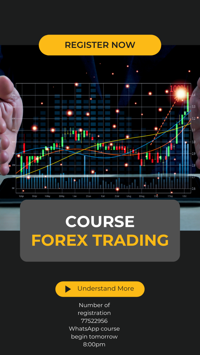 Formation Forex en ligne avec un expert en trading à Djibouti