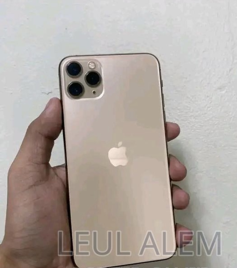 iPhone 11 Pro Max 256 Go, Face ID, True Tone, État comme neuf à Djibouti