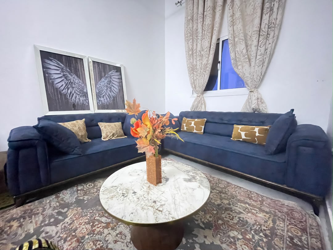 Salon moderne turc chic avec table basse et cadres assortis à Djibouti